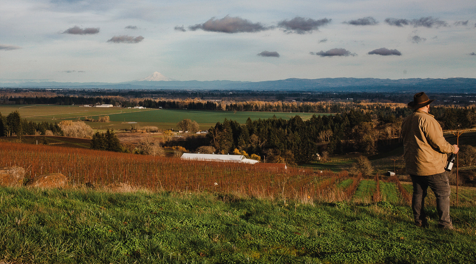 Wines That Tell the Story of a Place – Evening Land Vineyards