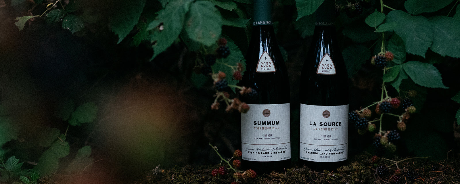 Prestige Pinot Noirs – Evening Land Vineyards