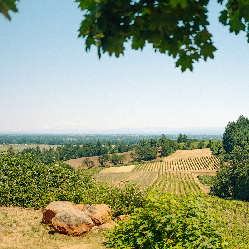 Visit Us – Evening Land Vineyards