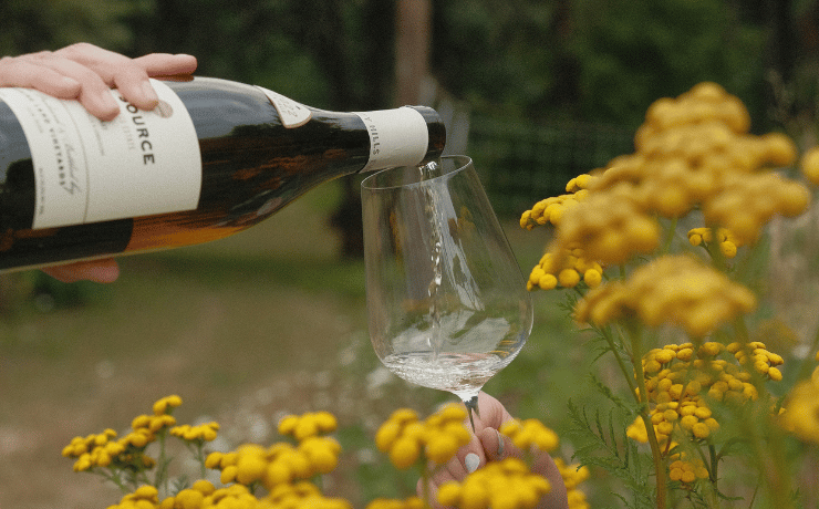 Evening Land Vineyards – Evening Land Vineyards